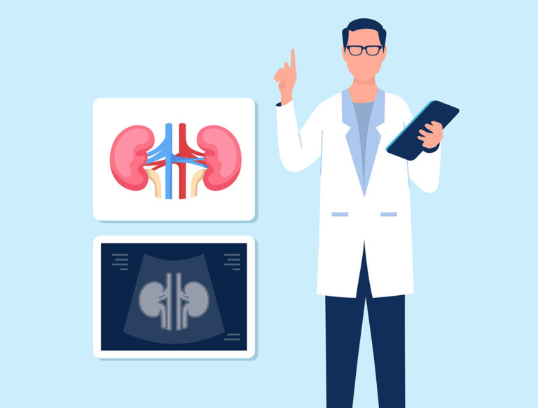 The Impact of Hydration on Kidney Health