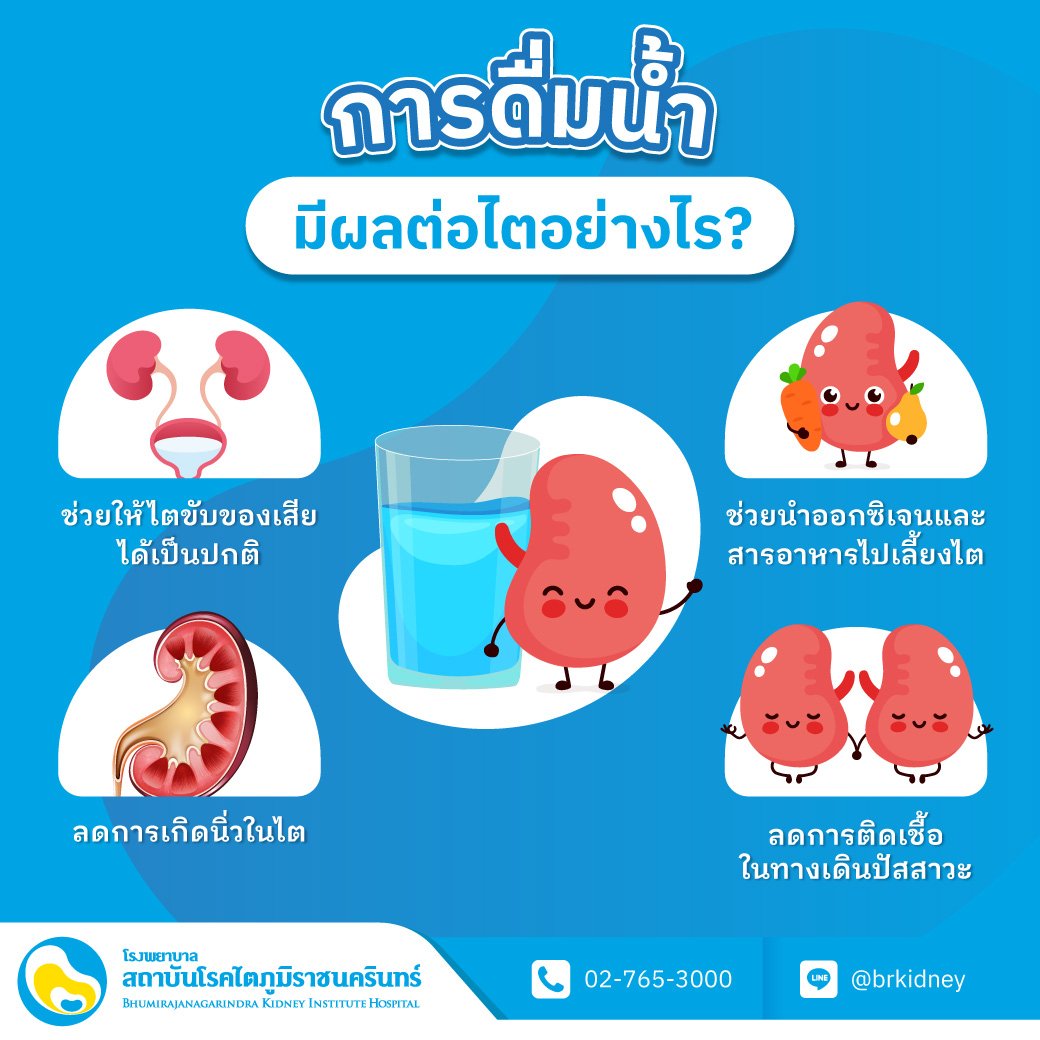 The Impact of Hydration on Kidney Health